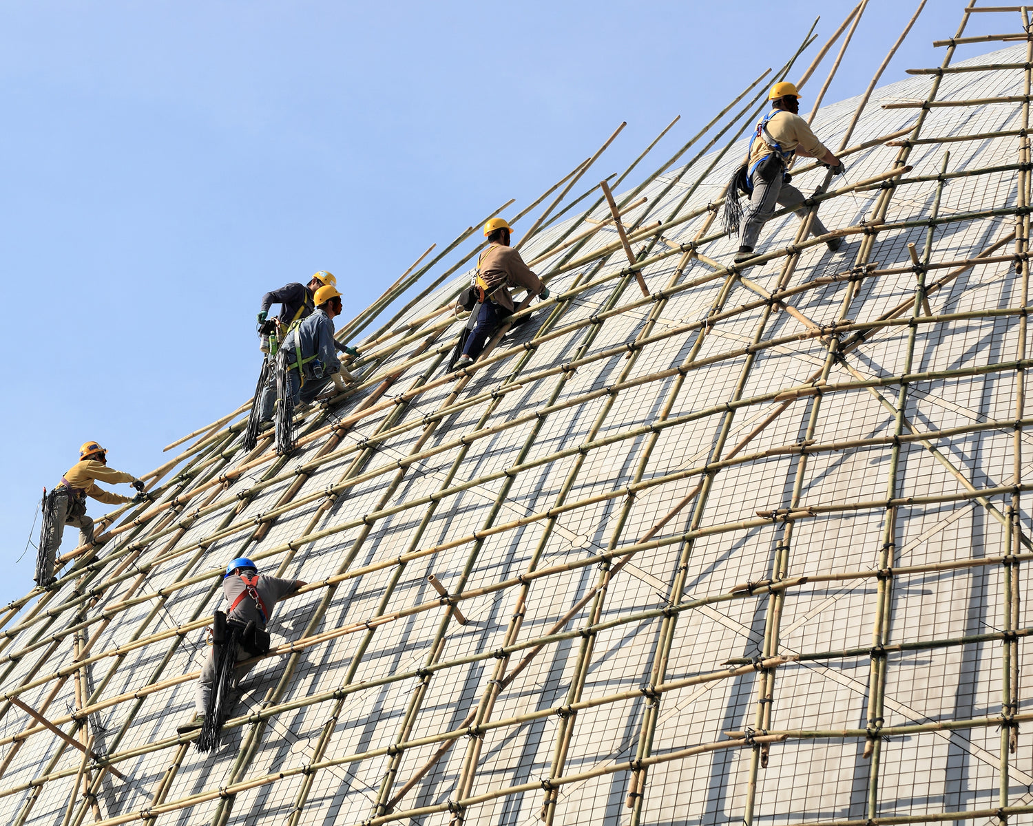 The Strength and Versatility of Bamboo – Gaia's